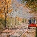 From Seoul: Nami Island, Korean Garden & Rail Bike Day Trip - The Itinerary Breakdown