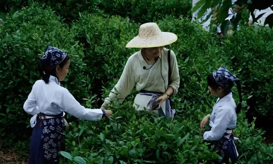 From Shanghai: 7-Day Tour to Huangshan, Hangzhou & Wuzhen - Why This Tour Is a Good Deal