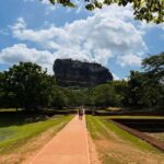 From Sigiriya: Sigiriya Lion Rock and Minneriya Jeep Safari - What Makes This Tour Stand Out?