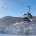 From Sydney: Thredbo Snowy Mountains tour - Who Will Love This Tour?