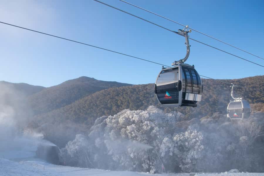 From Sydney: Thredbo Snowy Mountains tour - Who Will Love This Tour?