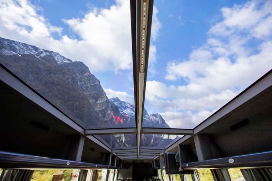 From Te Anau: Milford Sound Cruise & Glass-Roof Coach Tour - Who Will Love This Tour?