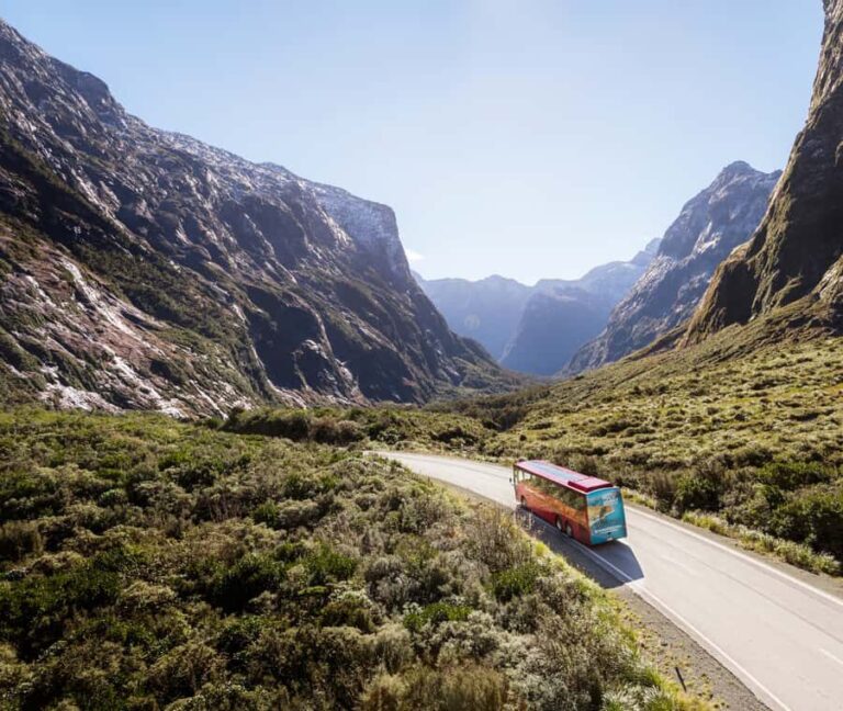 From Te Anau: Milford Sound Extended Cruise and Coach Tour - The Sum Up: Who Should Consider This Tour?
