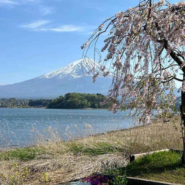 From Tokyo: Mt Fuji Private Day Tour In Luxury Land Cruiser - What Makes This Tour Stand Out