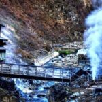 From Tokyo: Snow Monkey Private Customize Day Tour - What the Reviews Say