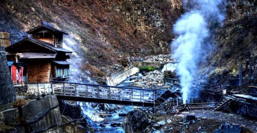 From Tokyo: Snow Monkey Private Customize Day Tour - What the Reviews Say