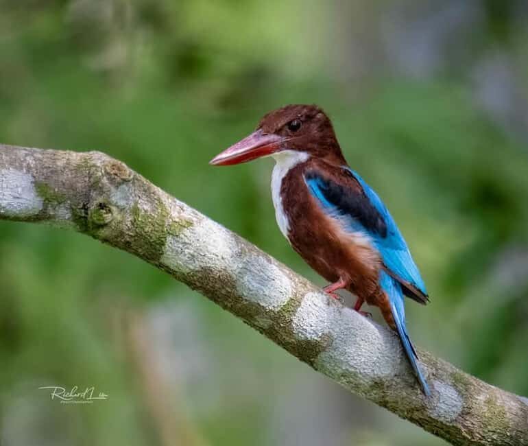 From Udaipur: Authentic Village Safari Experience - What Makes the Jeep Ride Special