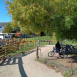 From Wanaka - Bike the Dunstan Trail with shuttle return - What to Expect at Each Stage