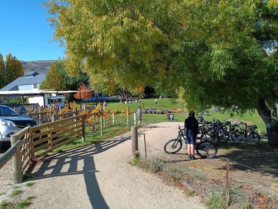 From Wanaka - Bike the Dunstan Trail with shuttle return - What to Expect at Each Stage