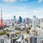 From Yokohama: Tokyo with a Private Licensed Guide - Who Is This Tour Best Suited For?