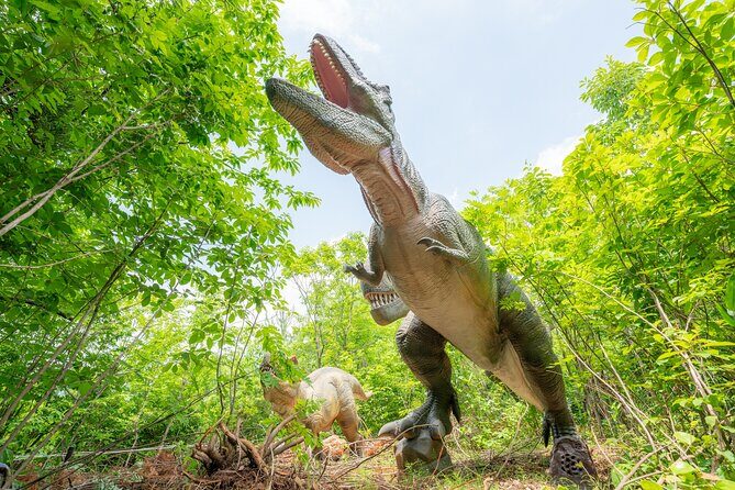 FromTsuruga Port Private Car Tour - Practical Considerations