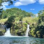 Fuji Forest Hiking 4 hr Tour with a Nature Guide with Transfer - Why This Tour Might Be the Right Fit