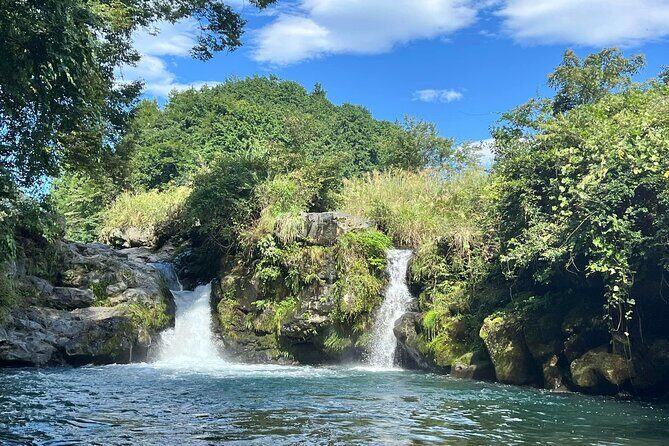 Fuji Forest Hiking 4 hr Tour with a Nature Guide with Transfer - Why This Tour Might Be the Right Fit