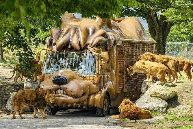 Fukuoka Day Trip to Yufuin, Beppu Hell Onsen and Animal Park - What Travelers Say: Authentic Perspectives