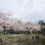 FUKUOKA Hakata Half Day Shared Tour ~Sightseeing with Coffee~ - Practicalities and Value