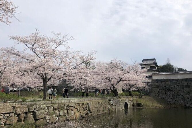 FUKUOKA Hakata Half Day Shared Tour ~Sightseeing with Coffee~ - Practicalities and Value