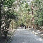 Fukuoka: Munakata Taisha Shrine Guided Tour  UNESCO Site - Practical Tips for Travelers