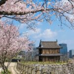 Fukuoka Private Customizable Full Day Tour - What Sites Might You Visit?