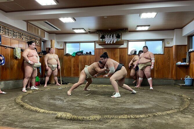 Fukuoka Sumo Morning Practice Watching Tour - Practical Details and What to Expect