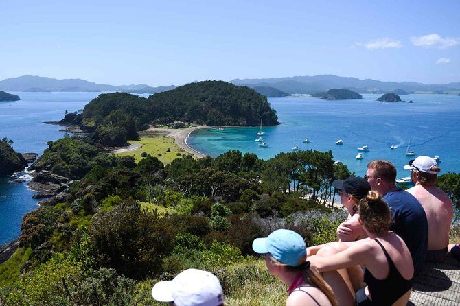 Full-Day Adventure Cruise with Lunch in Bay of Islands - What the Reviews Say
