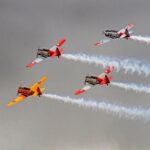 Full-Day Omaka Aviation Heritage Center and Wine Tasting Tour - The Experience from Travelers’ Perspectives