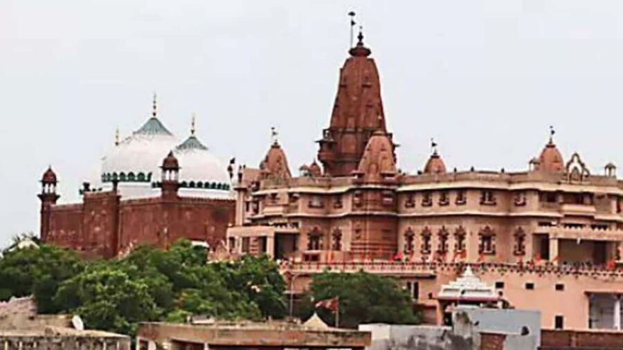 Full-Day Pilgrimage: Explore Mathura & Vrindavan from Delhi - What Does This Tour Offer for You?