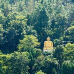 Full Day Private Bird-watching Tour in Phulchoki - What to Expect and What Not to Expect