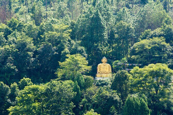 Full Day Private Bird-watching Tour in Phulchoki - What to Expect and What Not to Expect