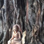 Full-Day Private Guided Bodhgaya Tour with Pick Up - Who Is This Tour Best For?