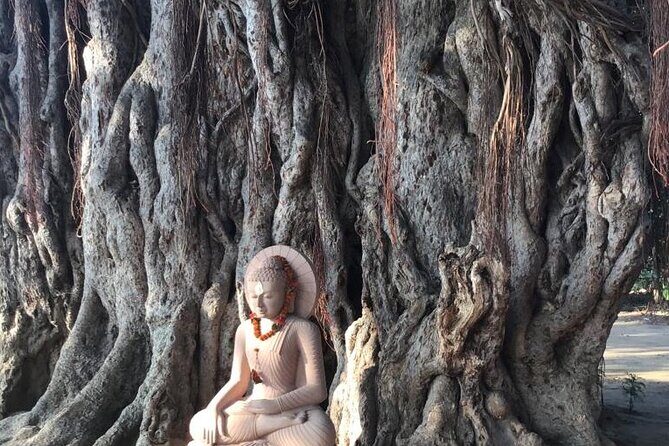 Full-Day Private Guided Bodhgaya Tour with Pick Up - Who Is This Tour Best For?