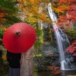 Full Day Private Osaka City Tour with EnglishSpeaking guide - Discover Osaka with a Skilled Guide