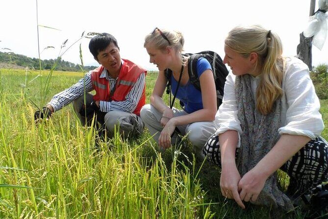 Full Day Private Silk Village And Elephant Waterfall Tour - Who Will Love This Tour?