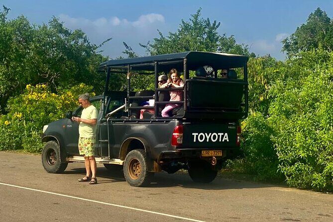 Full Day Private Yala Safari Trip with Lunch - Authentic Encounters and What Travelers Say