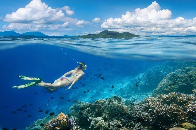 Gili Trawangan : Private Snorkeling with 3 spots or 4 spots - Authentic Experiences & Personal Touches
