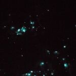 Glow Worm Caves Express Tour in Bay of Islands - The Sum Up