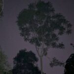 Glow Worm Tunnel Evening Guided Tour - Who Should Consider This Tour?