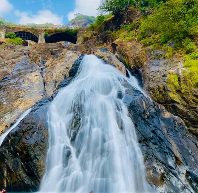 Goa: SIC Dudhsagar Waterfall and Spice Plantation Day Tour - The Stops in Detail