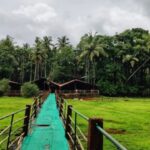 Goa: Spice Plantation Tour and Traditional Local Lunch - The Lunch: A Flavorsome Goan Feast