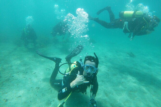 Goat Island Experience Guided Boat Dive - Who Will Love This Tour?