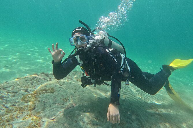 Goat Island Experience Guided Shore Dive - The Itinerary: Exploring the Best of Goat Island’s Shore Dives