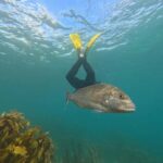 Goat Island Guided Snorkeling Tour for Beginners - What Makes This Tour Stand Out?