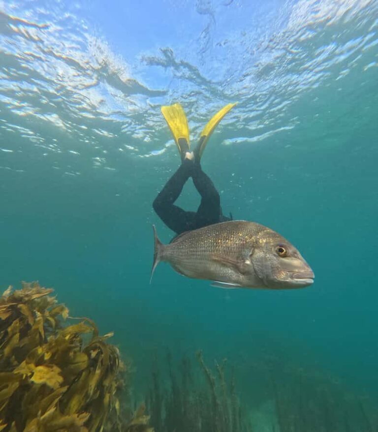 Goat Island Guided Snorkeling Tour for Beginners - What Makes This Tour Stand Out?