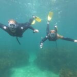 Goat Island Guided Snorkelling Tour For Advanced - Why Choose This Tour?