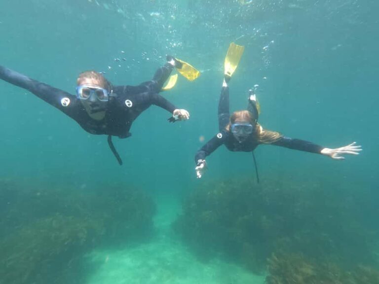 Goat Island Guided Snorkelling Tour For Advanced - Why Choose This Tour?