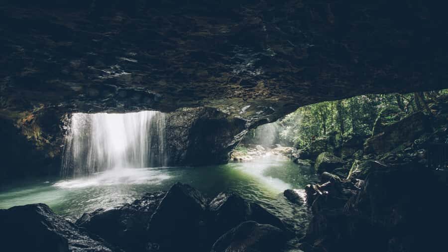 Gold Coast: 6 Waterfalls, Koalas & Natural Bridge Day Tour - The Practicalities: Transport, Group Size, and Value