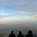 Gold Coast Fun Tour - Why This Tour Adds Value