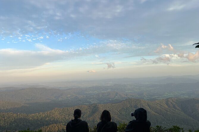 Gold Coast Fun Tour - Why This Tour Adds Value