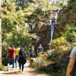 Grampians National Park Small-Group Eco Day Tour - The Itinerary: What Makes Each Stop Special
