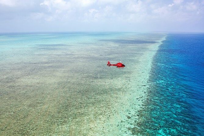 Great Barrier Reef 30-Minute Scenic Helicopter Tour from Cairns - What to Expect from the Tour