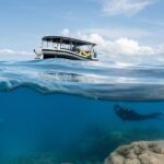 Great Barrier Reef Small Group Snorkelling Adventure - The RealValue of This Tour